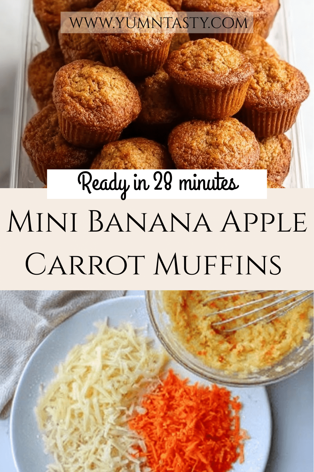 ABC Baby Muffins Apple Banana Carrot | Healthy Baby Snacks